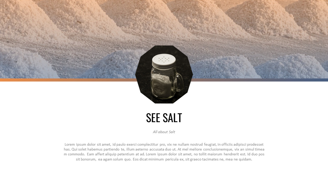 Sea Salt Google PPT Templates|Business|Slides