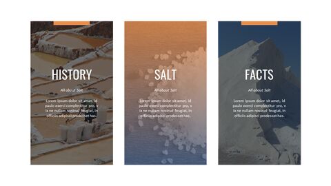 Sea Salt Google PPT Templates|Business|Slides