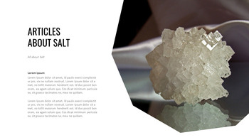 Sea Salt Google PPT Templates|Business|Slides