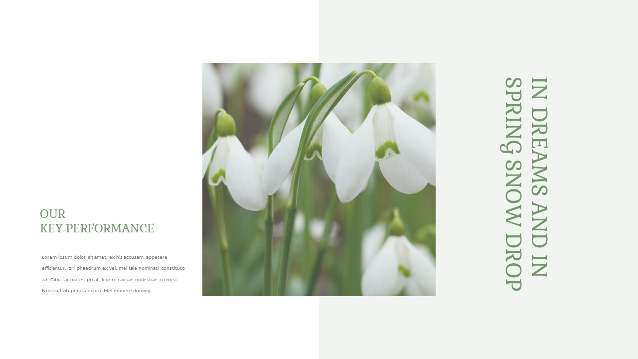 Snow Drop Presentation Google Slides Templates|Lifestyle