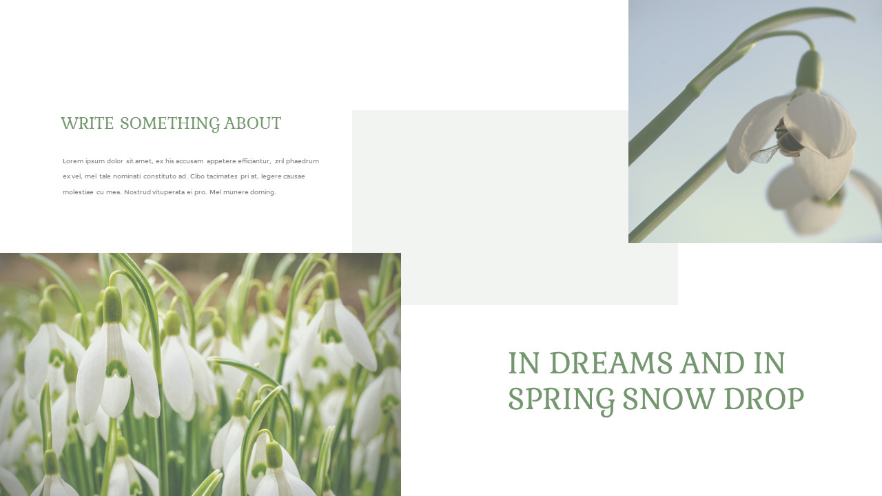 Snow Drop Presentation Google Slides Templates|Lifestyle