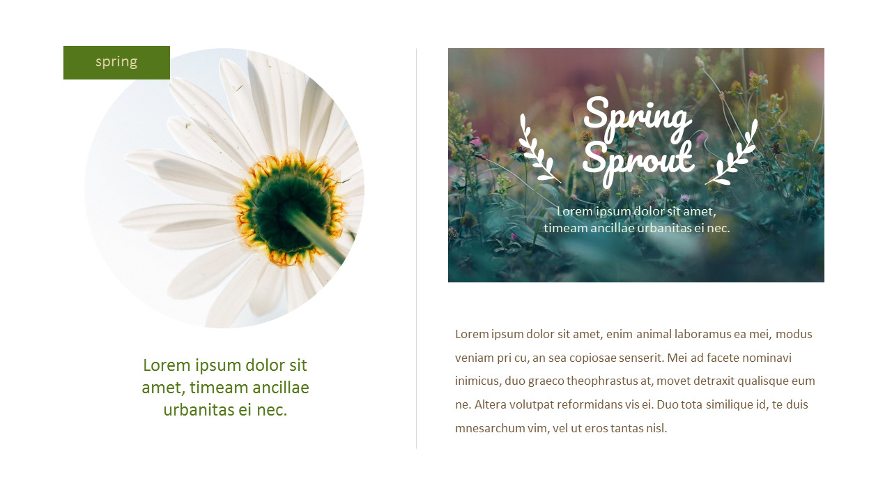 Spring Song Google Slides for mac