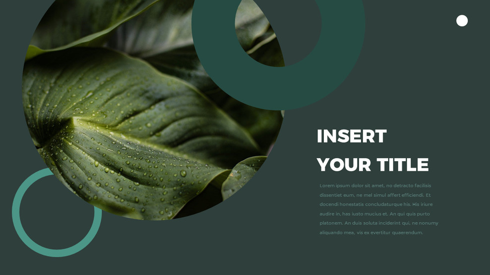 Green Leaves PowerPoint Presentation Slides|Lifestyle|Templates