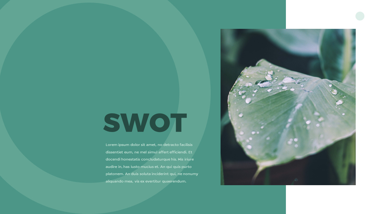 Green Leaves PowerPoint Presentation Slides|Lifestyle|Templates