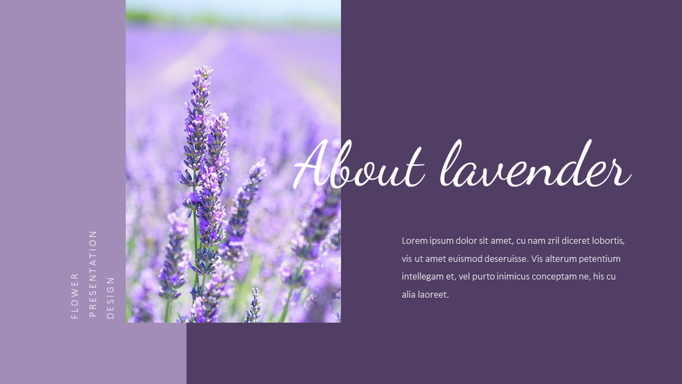Lavender Google Slides Templates|Lifestyle