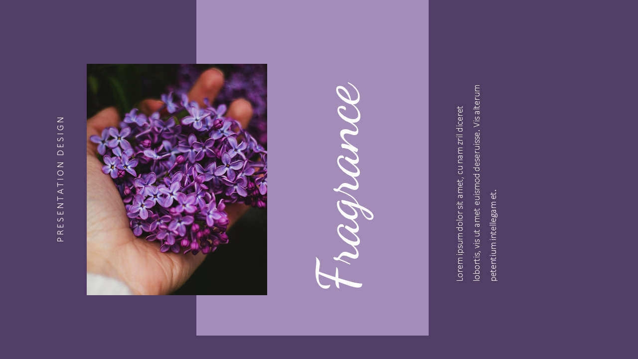 Lavender Google Slides Templates|Lifestyle