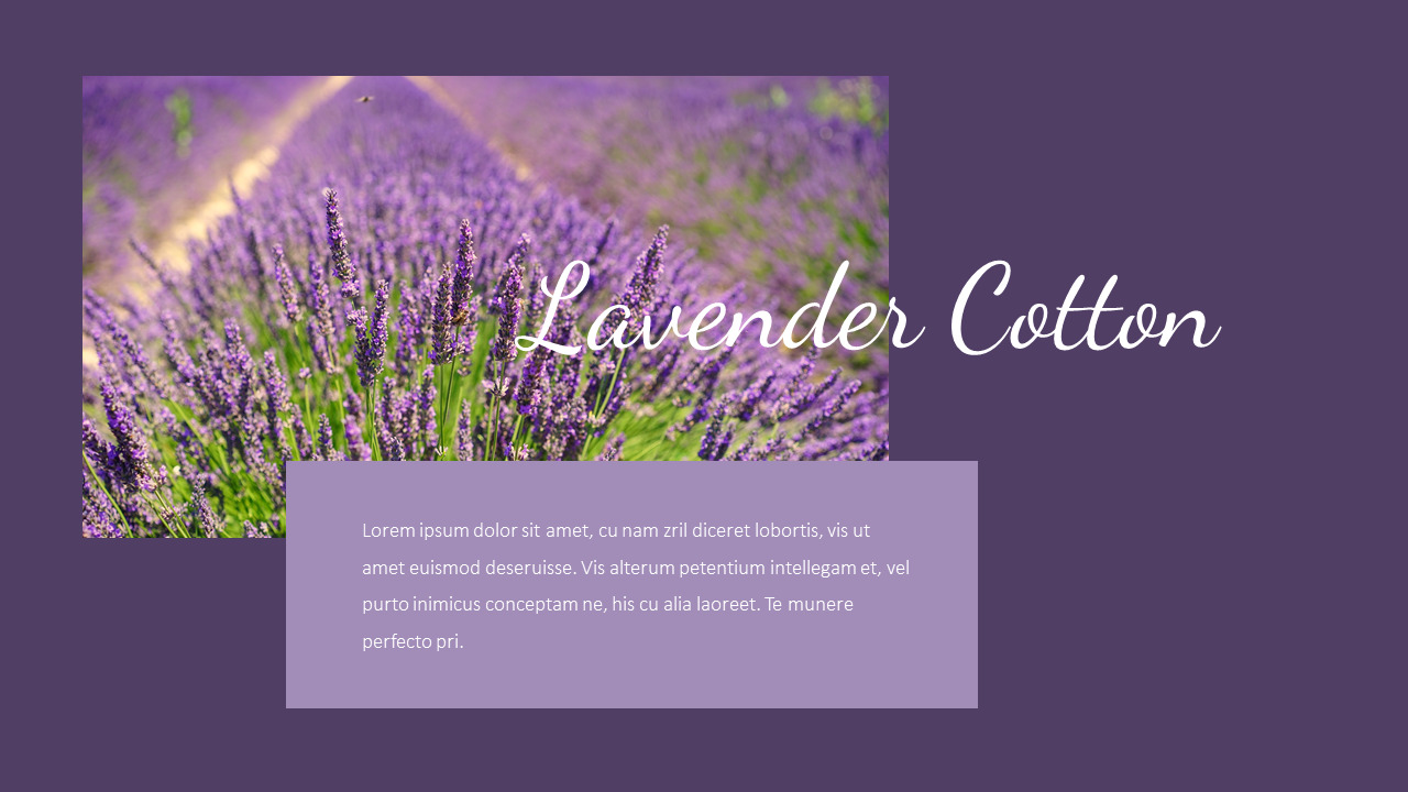 Lavender Google Slides Templates|Lifestyle