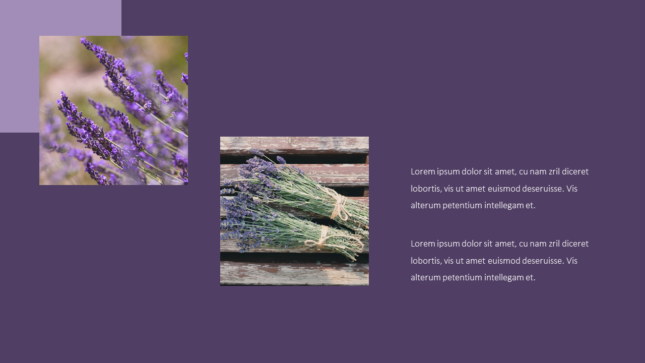 Lavender Google Slides Templates|Lifestyle