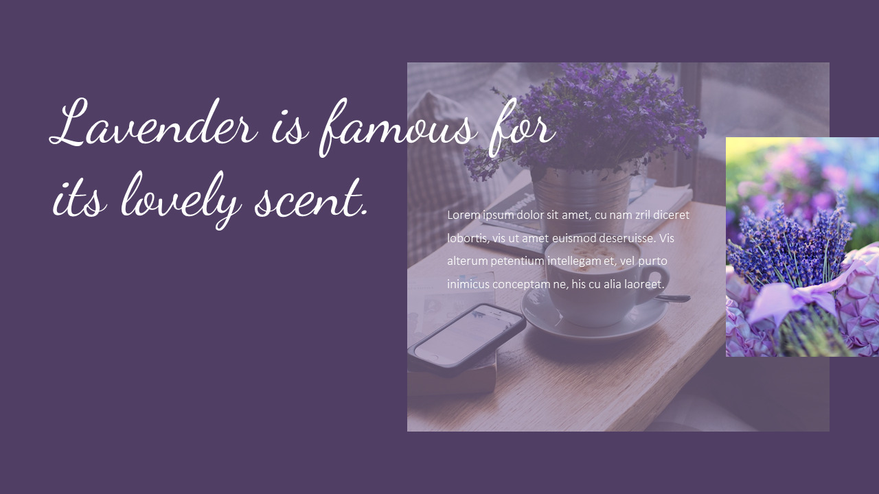 Lavender Google Slides Templates|Lifestyle