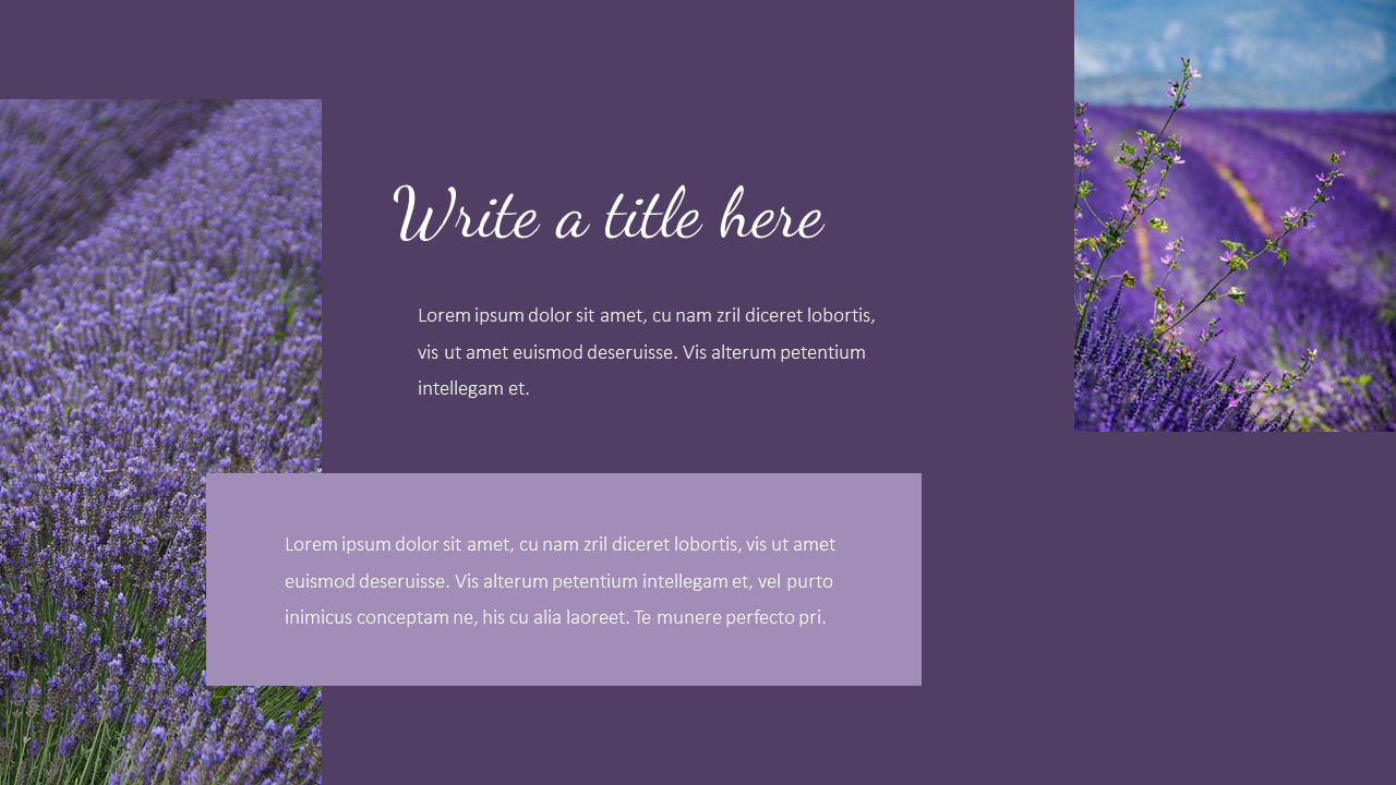 Lavender Google Slides Templates|Lifestyle