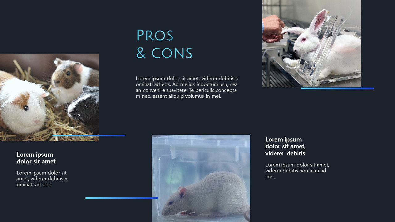 Stop Animal Testing Easy Google Slides Template