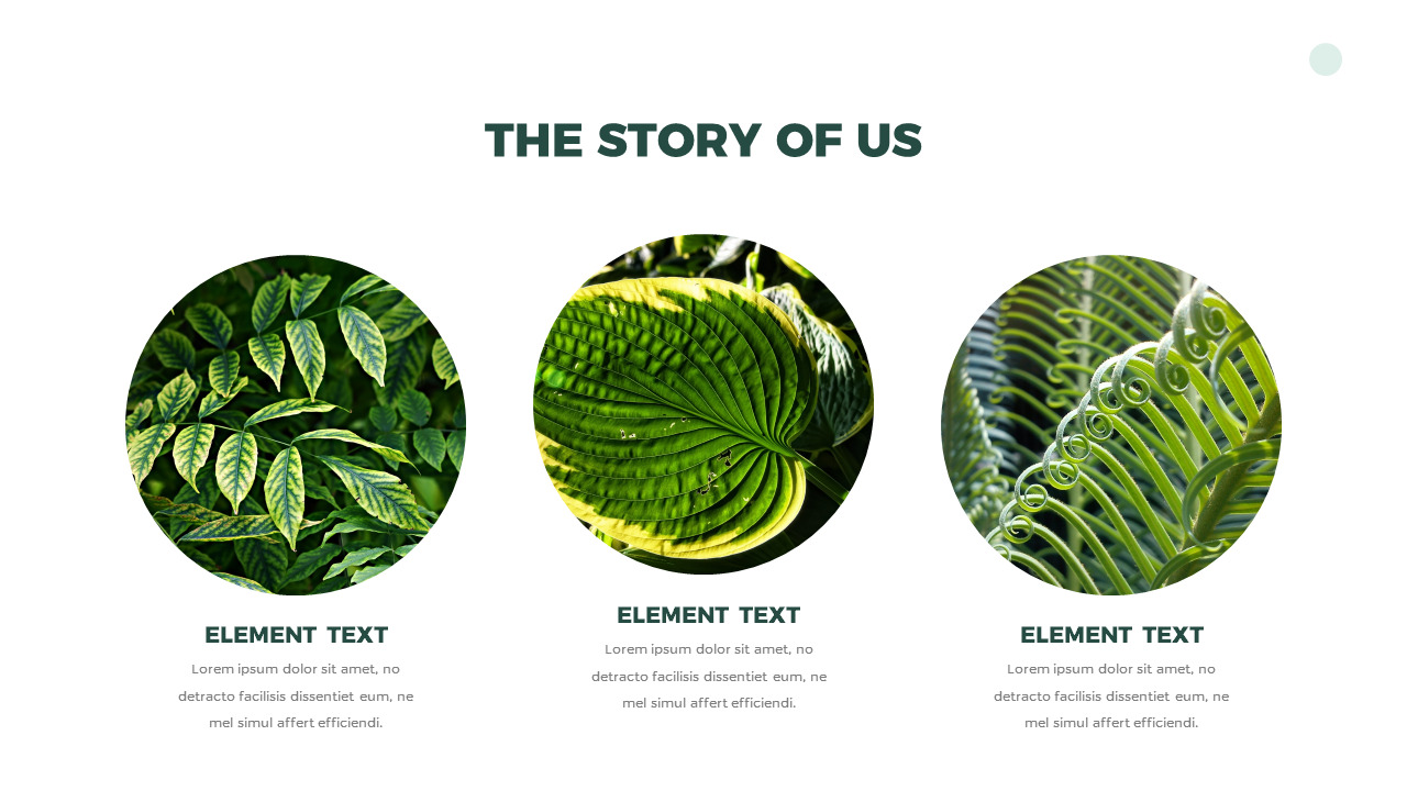 Green Leaves PowerPoint Presentation Slides|Lifestyle|Templates