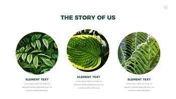 Green Leaves PowerPoint Presentation Slides|Lifestyle|Templates