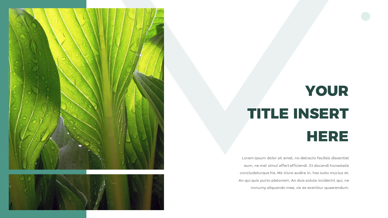Green Leaves PowerPoint Presentation Slides|Lifestyle|Templates