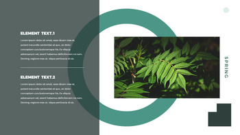 Green Leaves PowerPoint Presentation Slides|Lifestyle|Templates