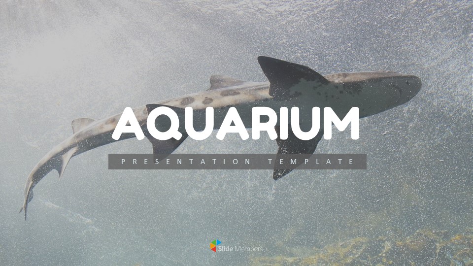 Aquarium Simple Slides Design