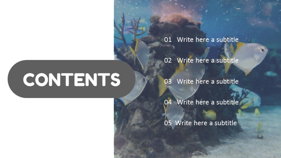 Aquarium Simple Slides Design