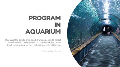 Aquarium Simple Slides Design