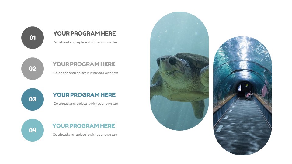 Aquarium Simple Slides Design