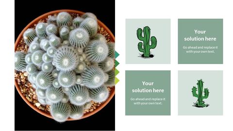 Cactus Simple Presentation Google Slides Template