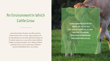 Cow Google PowerPoint Slides|Lifestyle