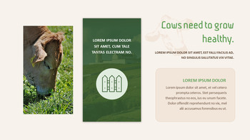 Cow Google PowerPoint Slides|Lifestyle