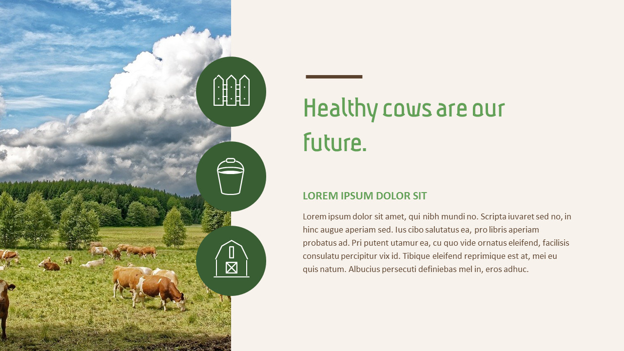 Cow Google PowerPoint Slides|Lifestyle