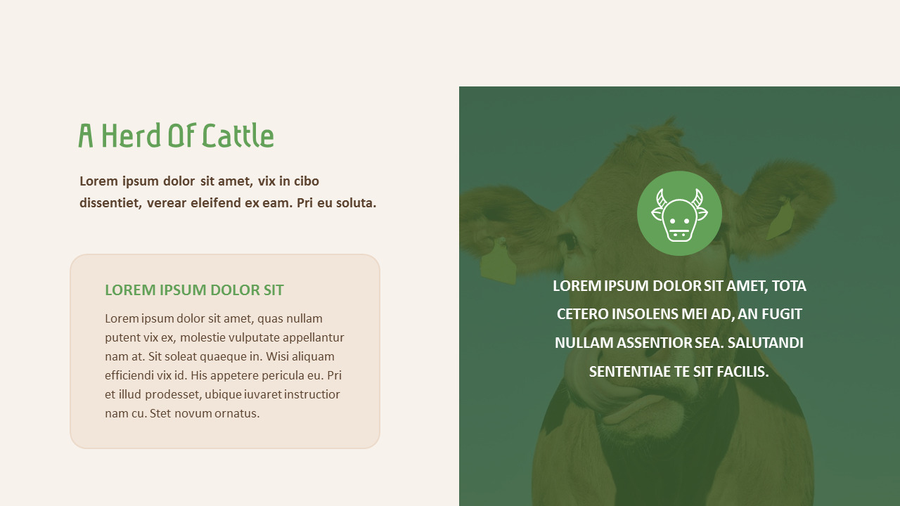 Cow Google PowerPoint Slides|Lifestyle