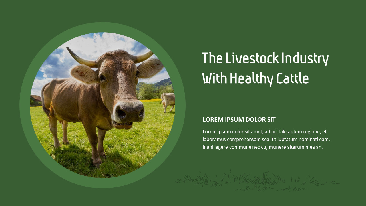 Cow Google PowerPoint Slides|Lifestyle