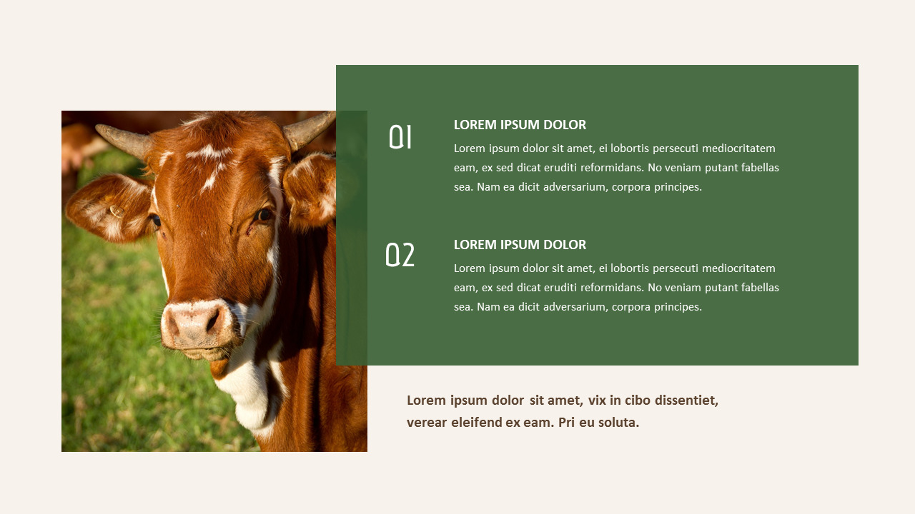 Cow Google PowerPoint Slides|Lifestyle