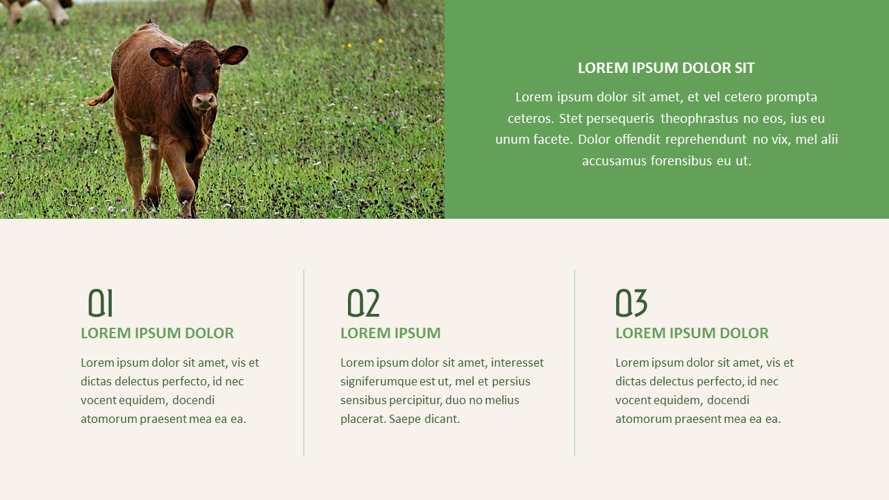 Cow Google PowerPoint Slides|Lifestyle