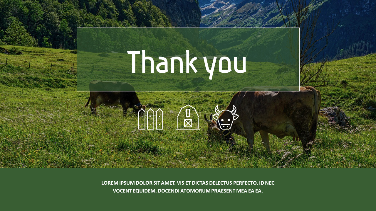 Cow Google PowerPoint Slides|Lifestyle