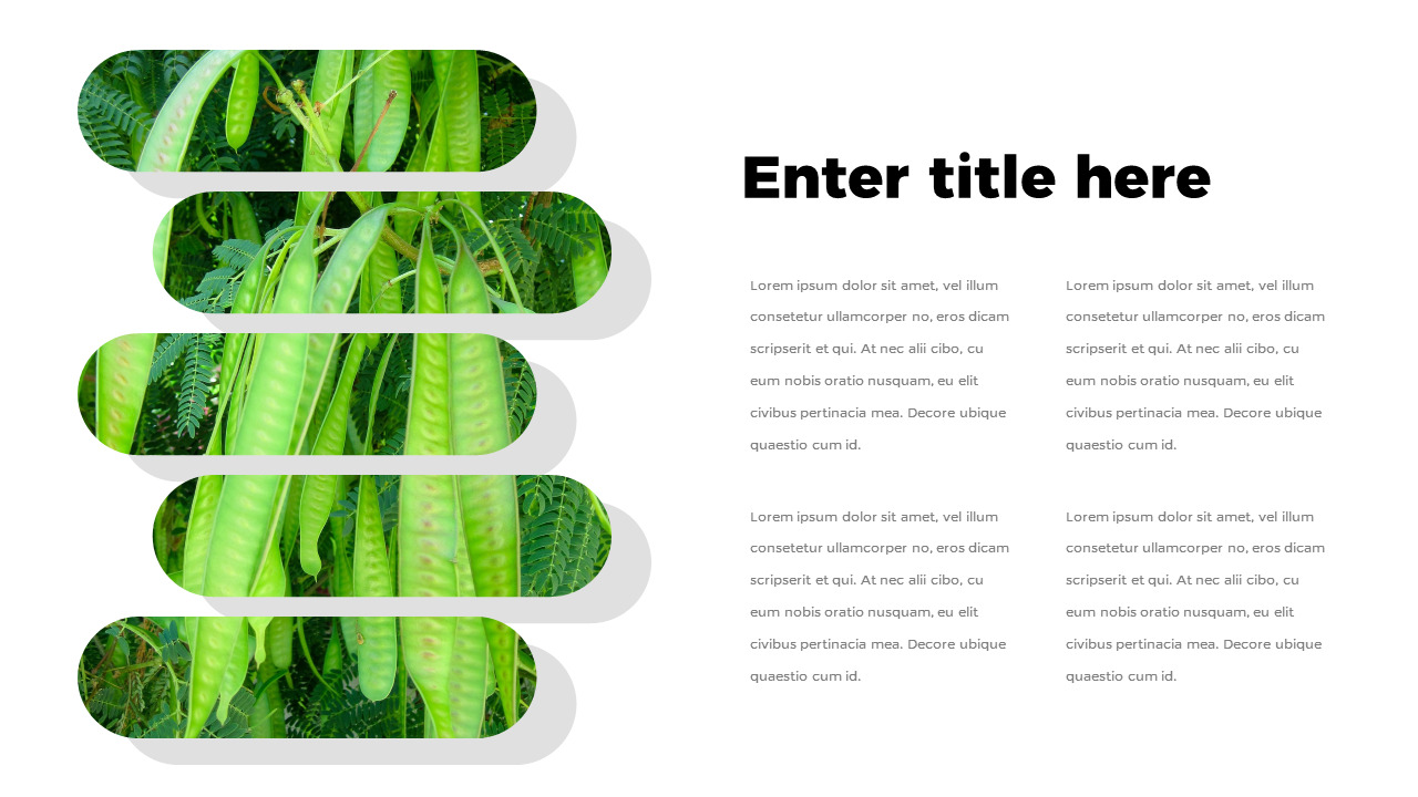 Green Bean Google Slides for mac|Business