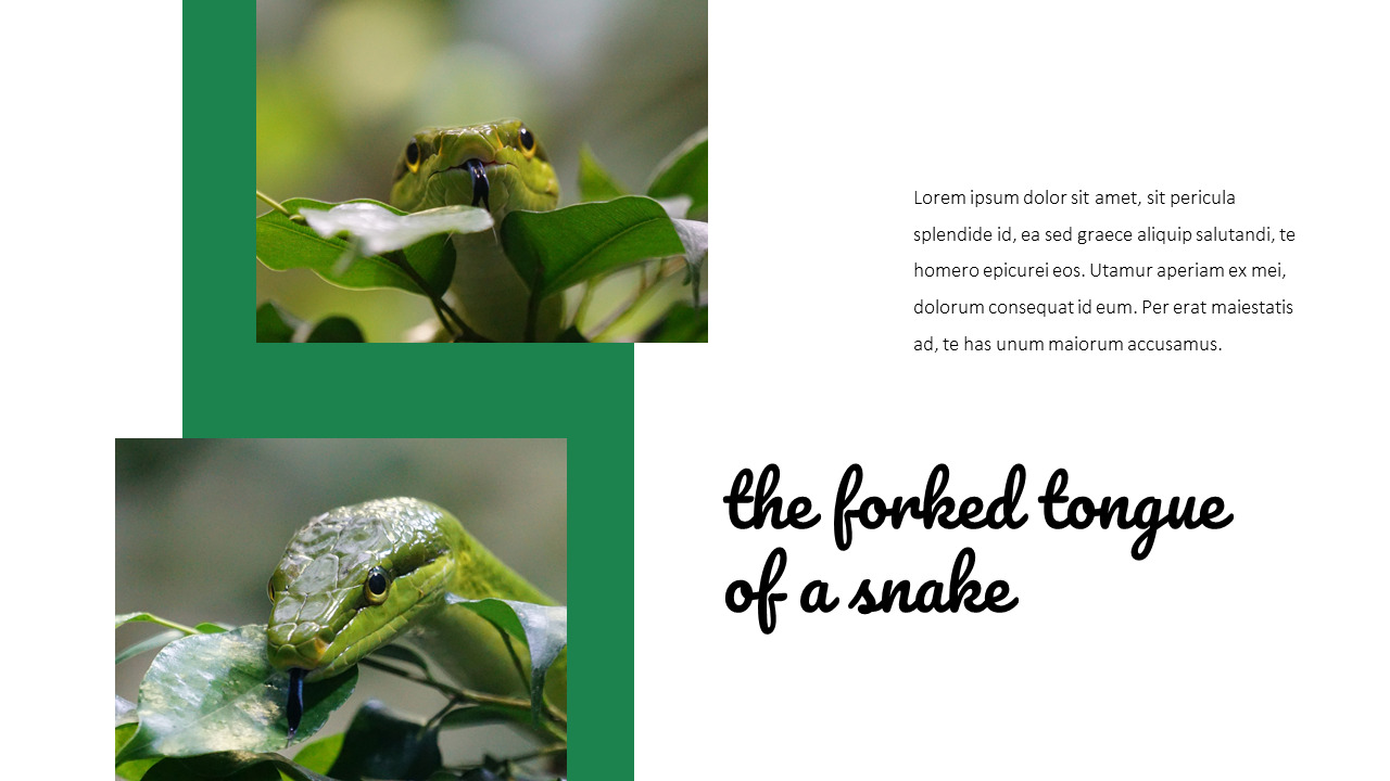 Snake Google Slides Templates|Lifestyle