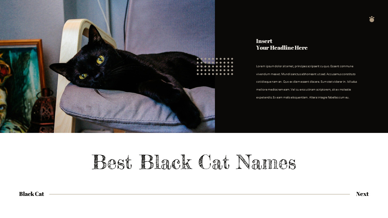 Black Cat slide template|Lifestyle|Google