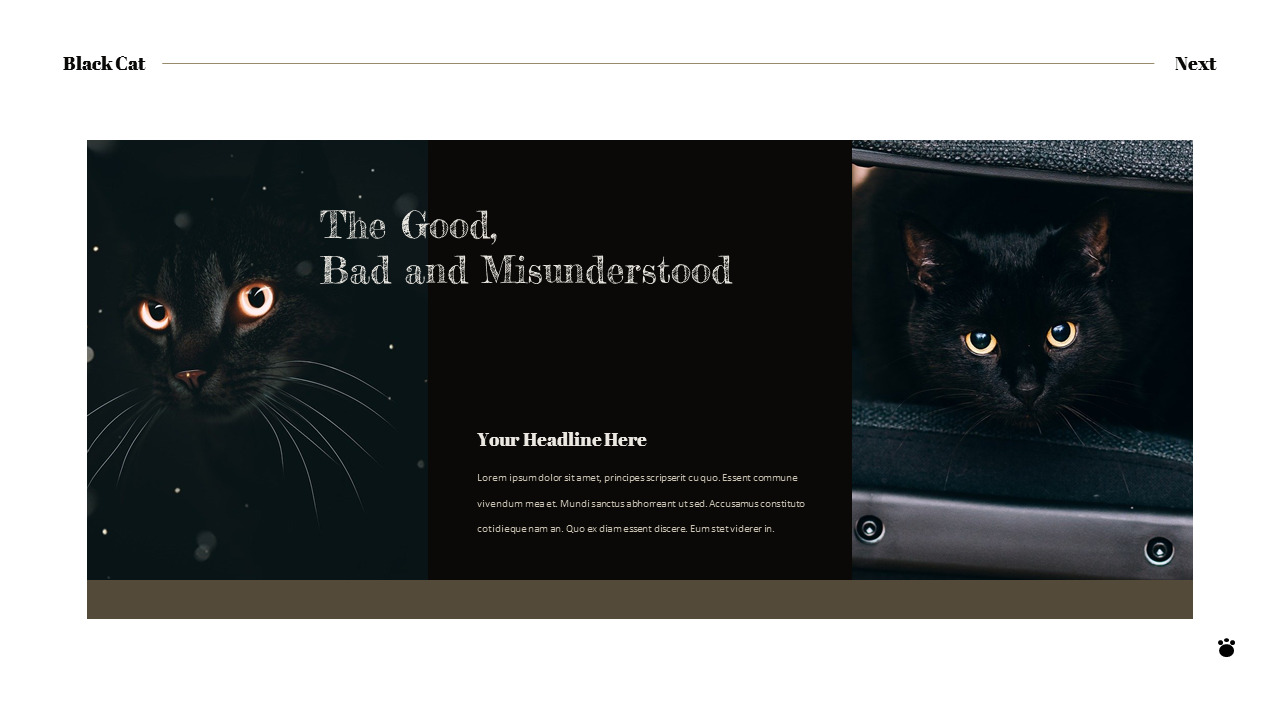 Black Cat slide template|Lifestyle|Google