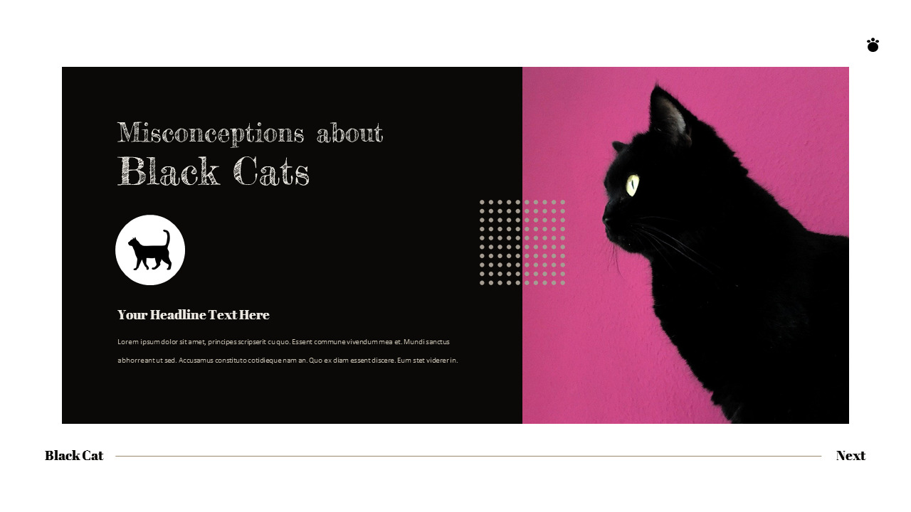 Black Cat slide template|Lifestyle|Google
