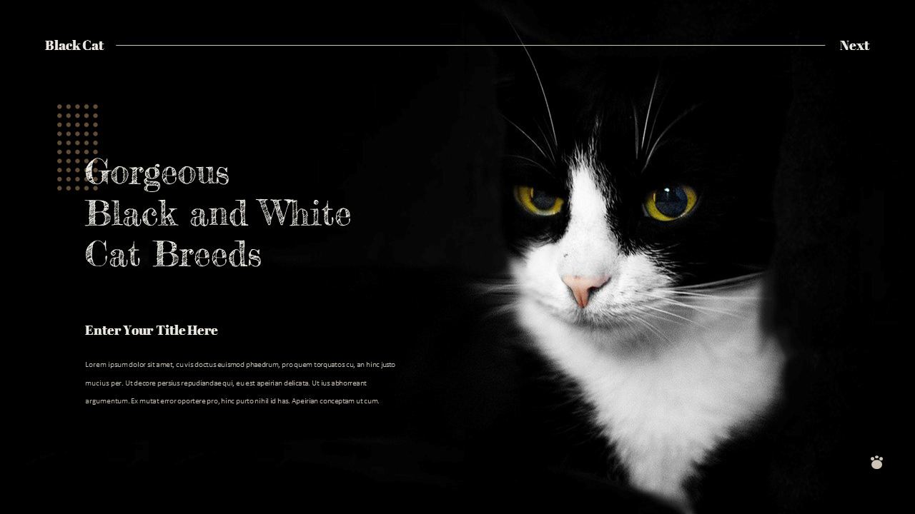 Black Cat slide template|Lifestyle|Google