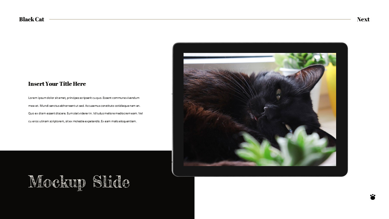 Black Cat slide template|Lifestyle|Google