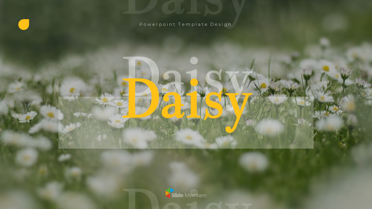Daisy PowerPoint Proposal|Lifestyle|Templates