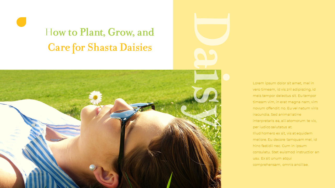 Daisy PowerPoint Proposal|Lifestyle|Templates