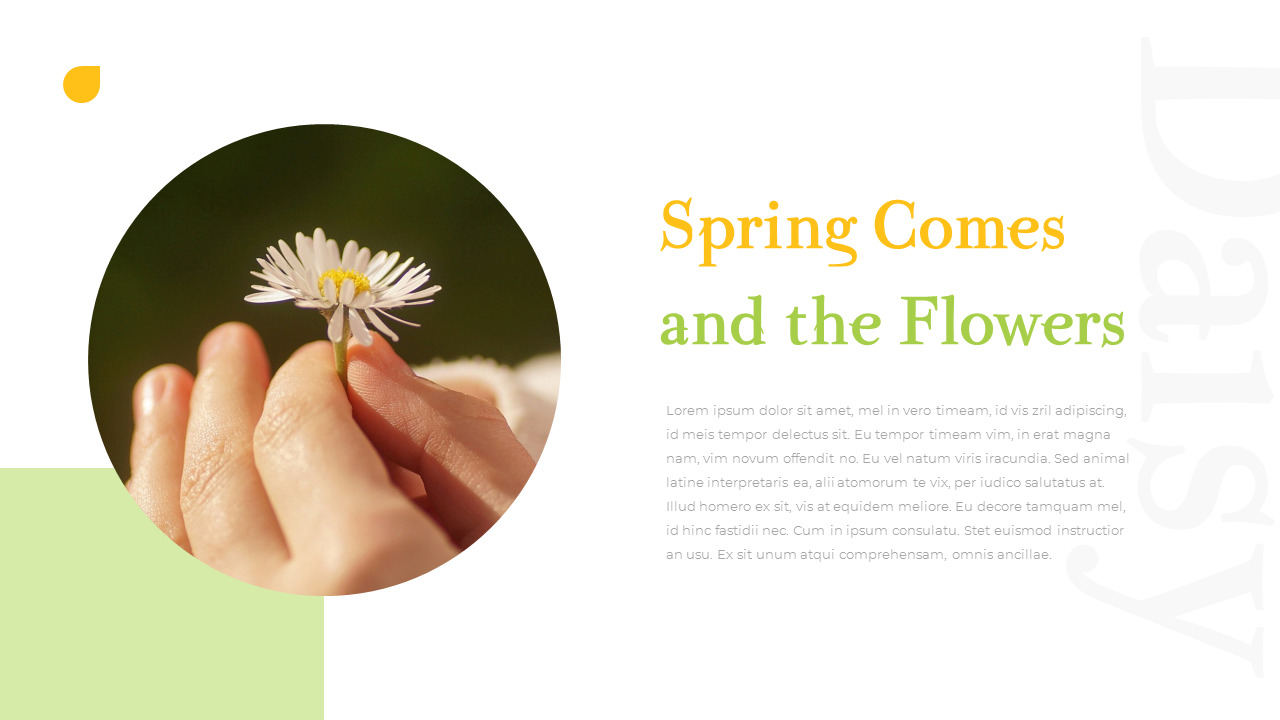 Daisy PowerPoint Proposal|Lifestyle|Templates