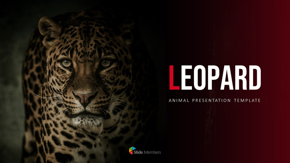 snow leopard powerpoint template