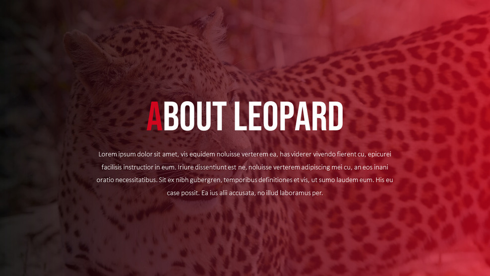 Leopard Business Presentations|Lifestyle|PPT Templates