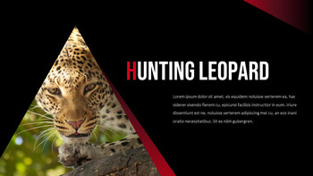 Leopard Business Presentations|Lifestyle|PPT Templates