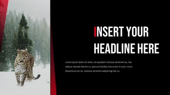 snow leopard powerpoint template