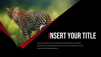 Leopard Business Presentations|Lifestyle|PPT Templates
