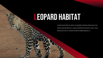 Leopard Business Presentations|Lifestyle|PPT Templates