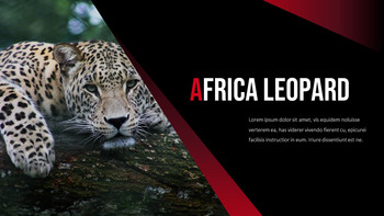 Leopard Business Presentations|Lifestyle|PPT Templates