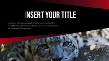 Leopard Business Presentations|Lifestyle|PPT Templates